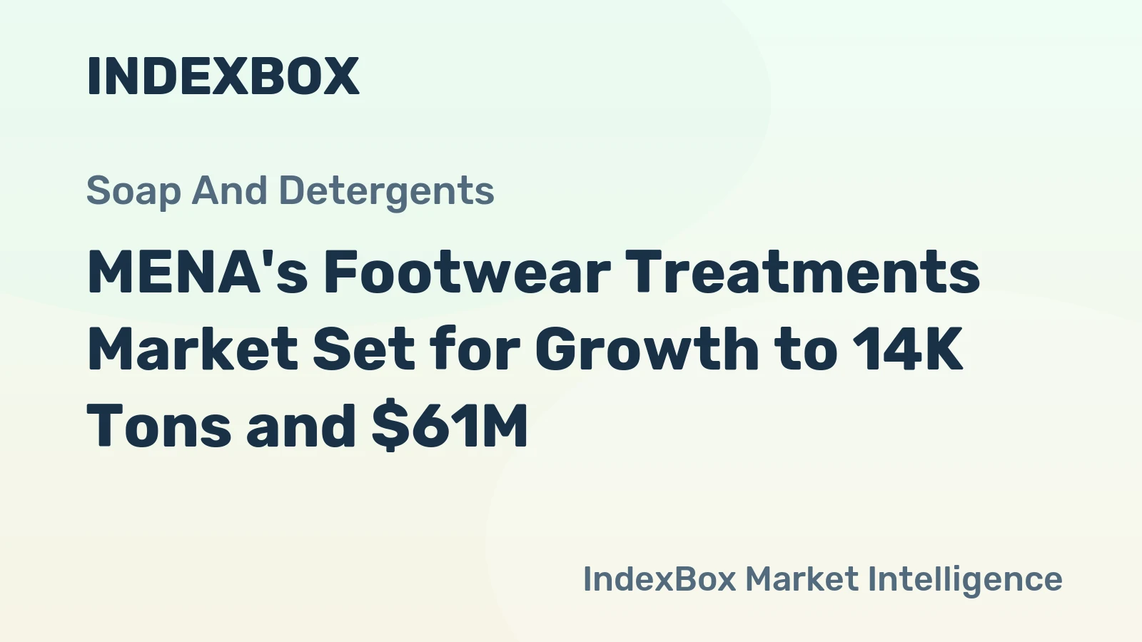 MENA's Footwear Treatments Market Set for Growth to 14K Tons and $61M
