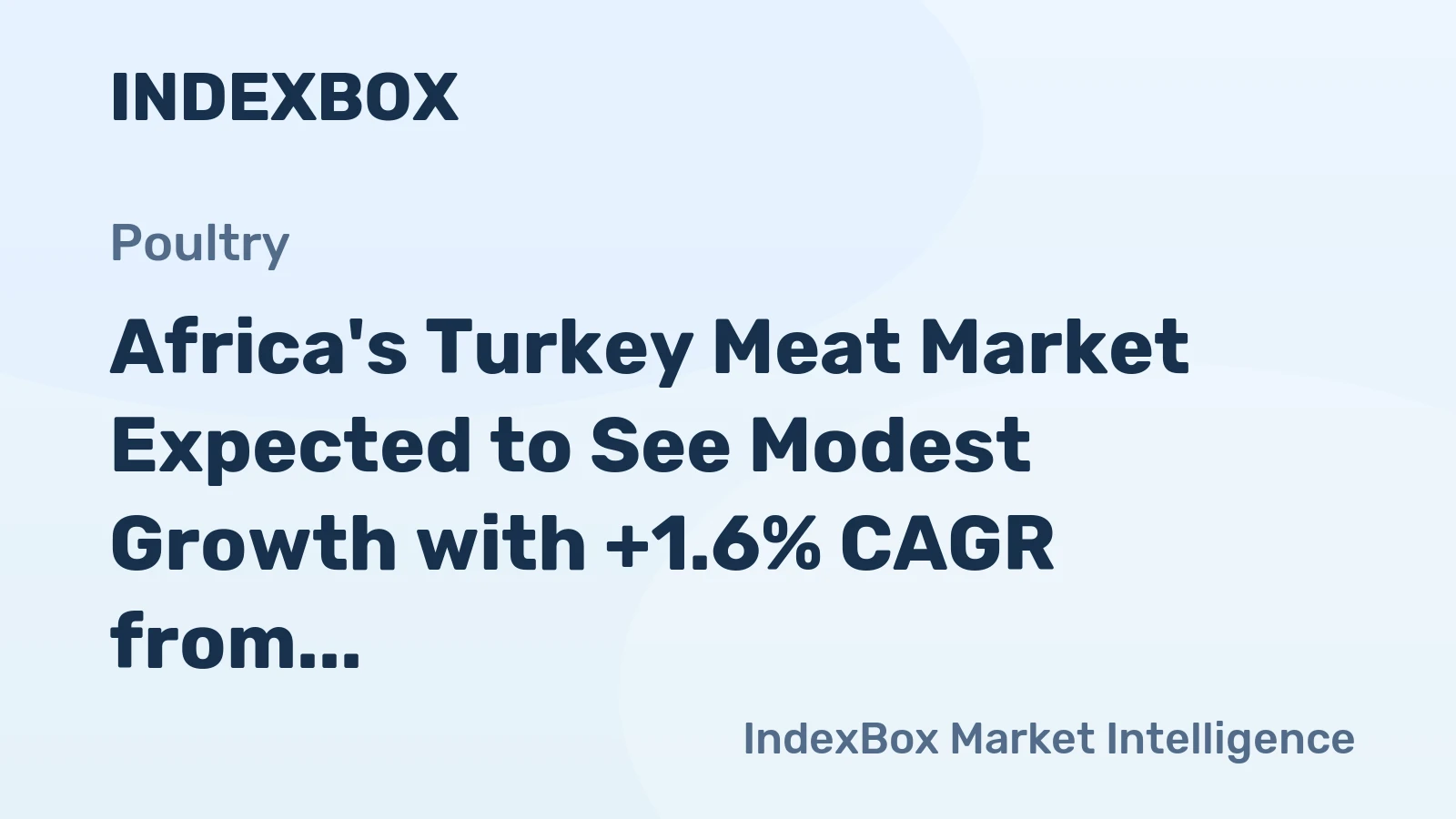 Africa's Turkey Meat Market Expected to See Modest Growth with +1.6% CAGR from 2024 to 2035