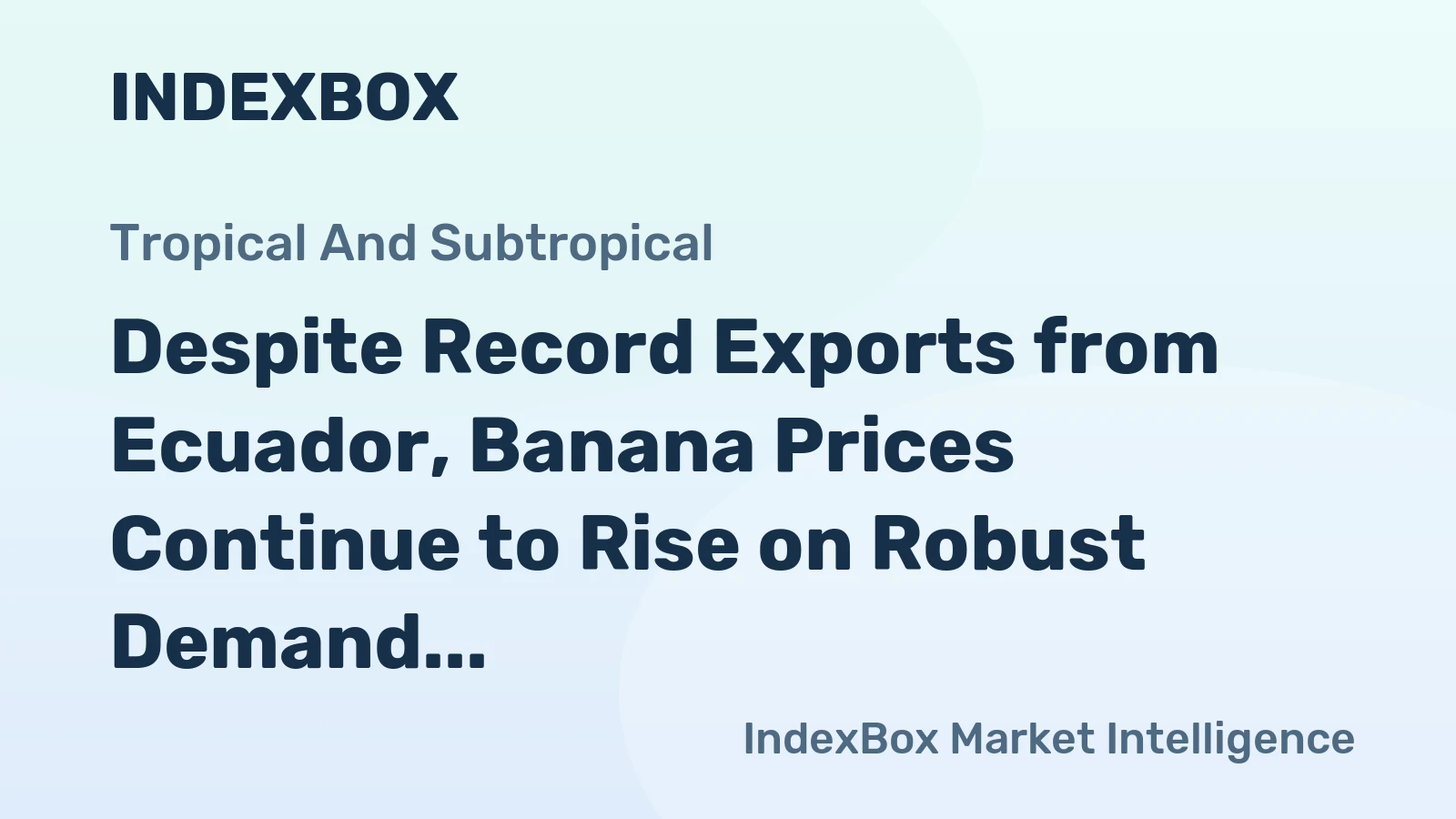 Despite Record Exports from Ecuador, Banana Prices Continue to Rise on Robust Demand