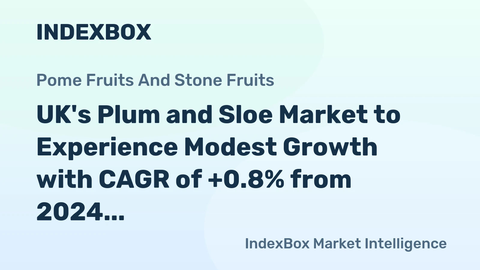 UK's Plum and Sloe Market to Experience Modest Growth with CAGR of +0.8% from 2024 to 2035