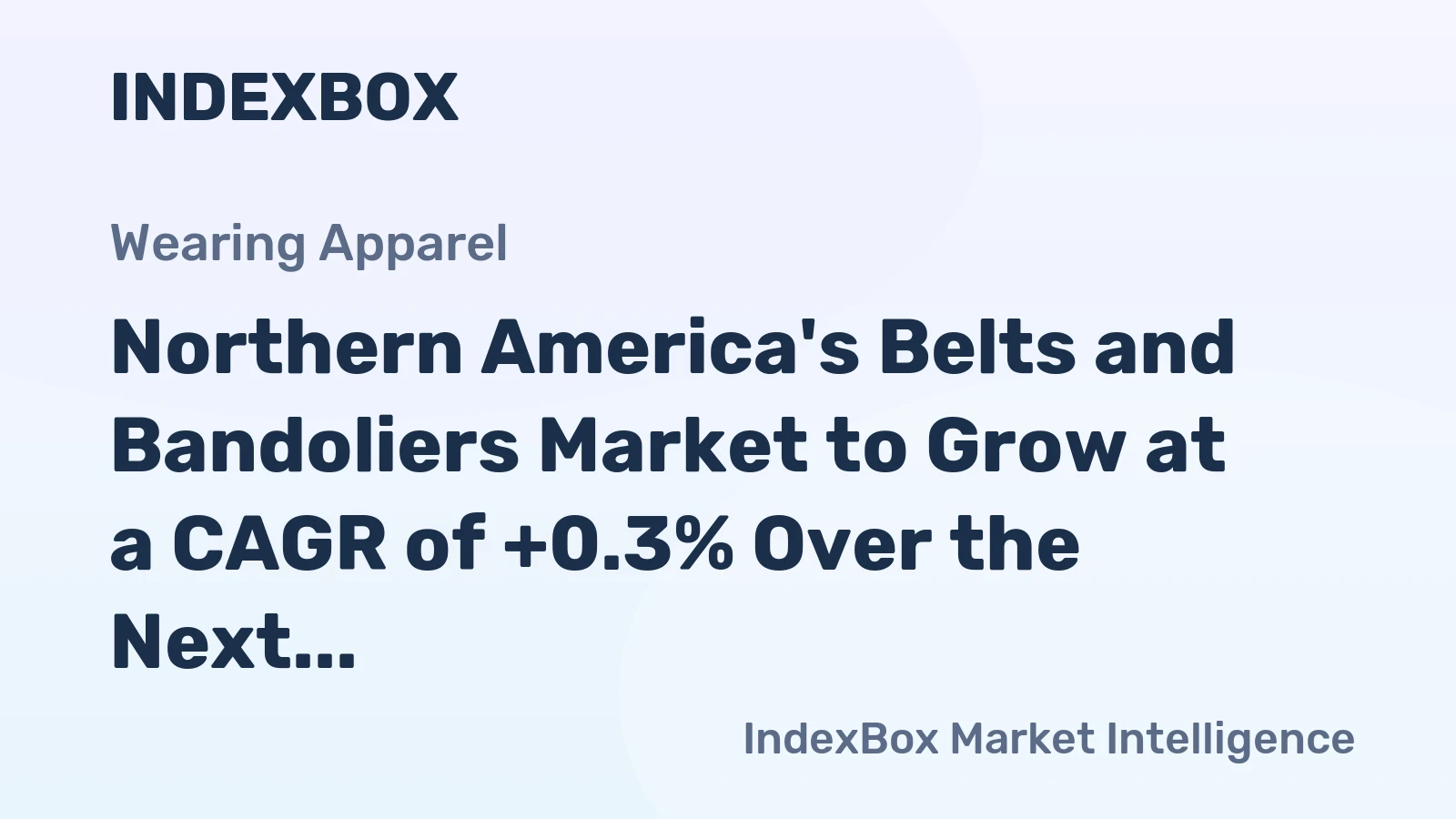 Northern America's Belts and Bandoliers Market to Grow at a CAGR of +0.3% Over the Next Decade