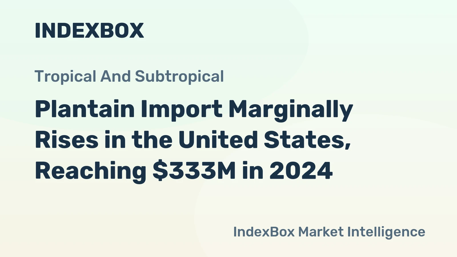 Plantain Import Marginally Rises in the United States, Reaching $333M in 2024