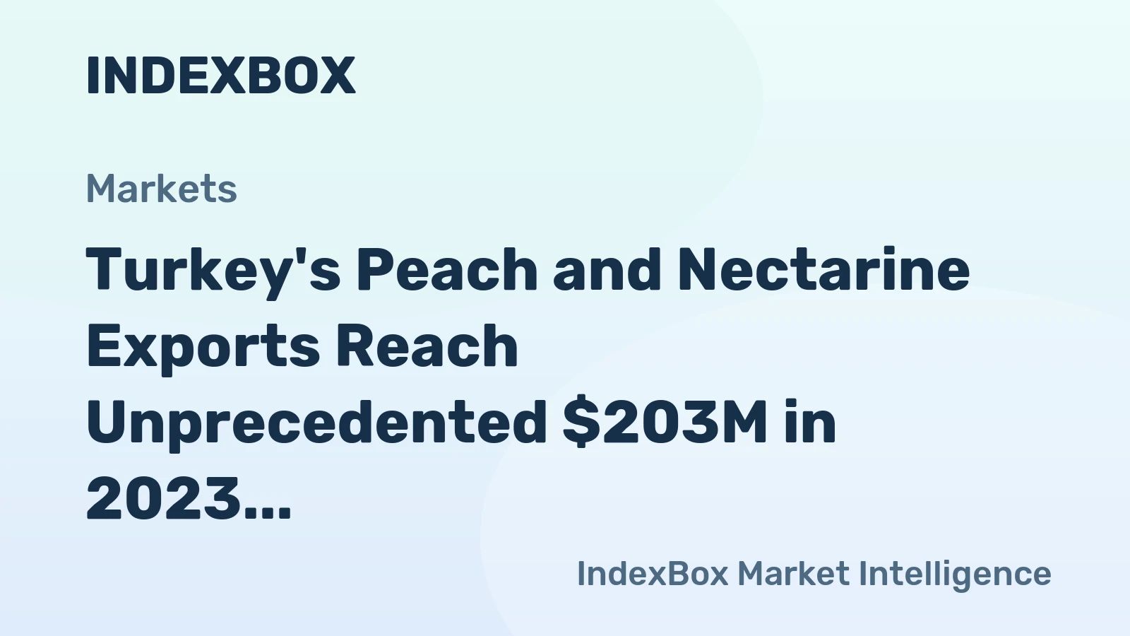 Turkey's Peach and Nectarine Exports Reach Unprecedented $203M in 2023
