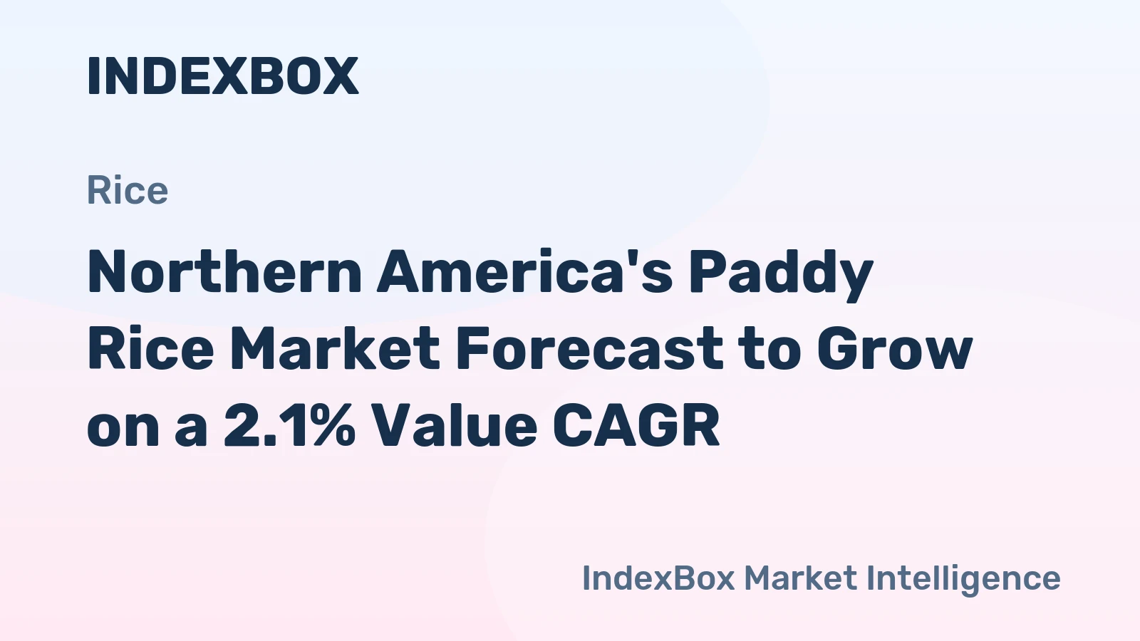 Northern America's Paddy Rice Market Forecast to Grow on a 2.1% Value CAGR