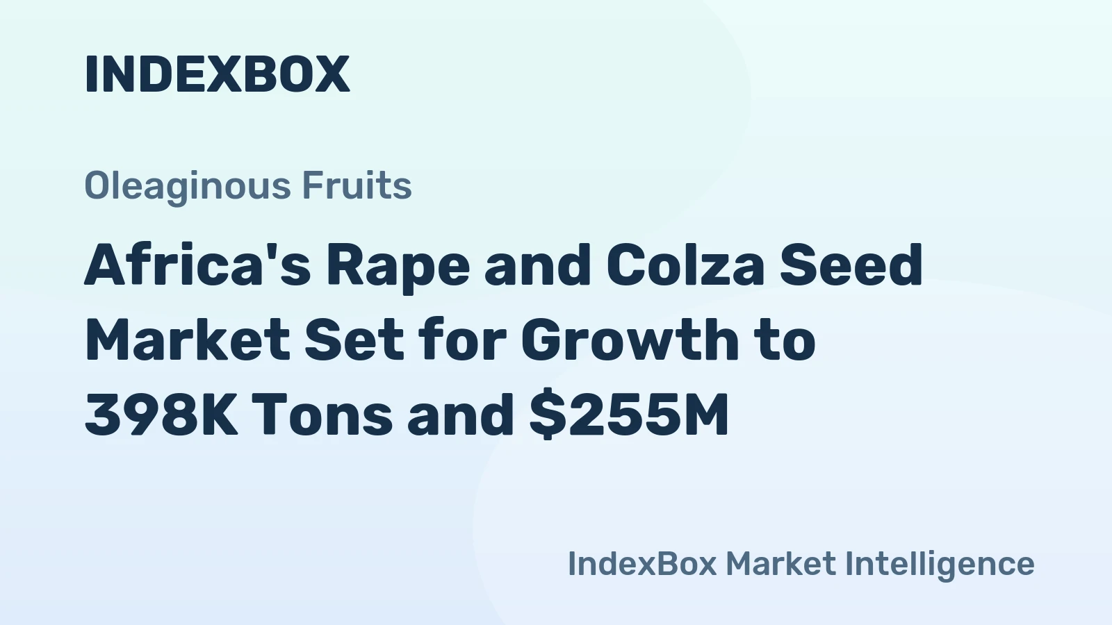 Africa's Rape and Colza Seed Market Set for Growth to 398K Tons and $255M