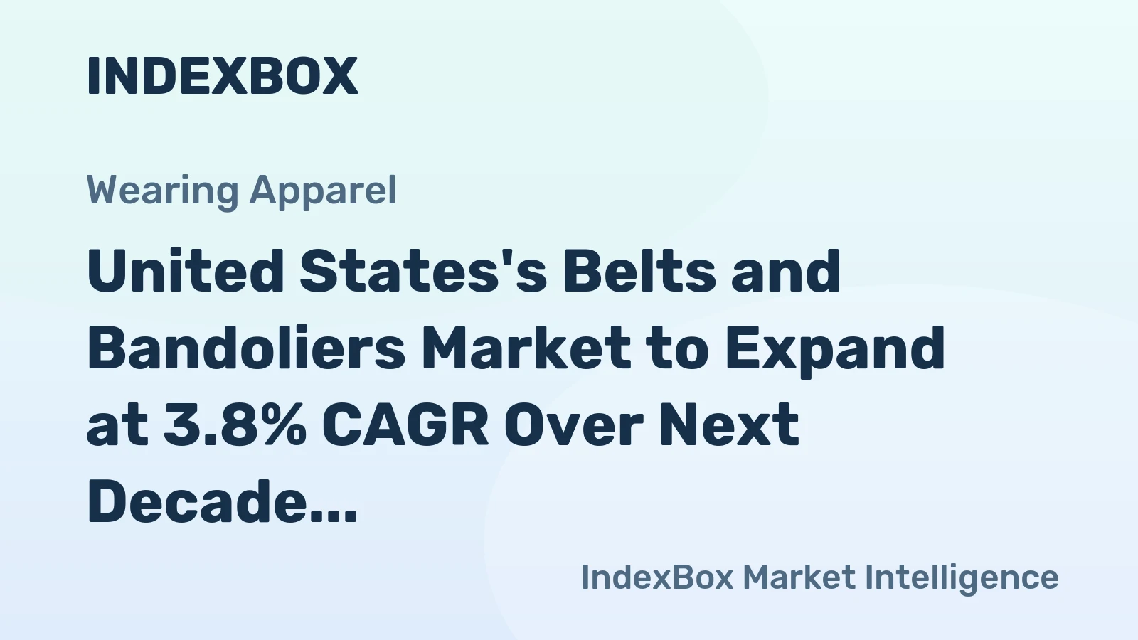 United States's Belts and Bandoliers Market to Expand at 3.8% CAGR Over Next Decade