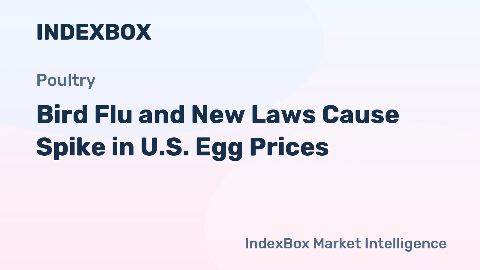 Bird Flu and New Laws Cause Spike in U.S. Egg Prices