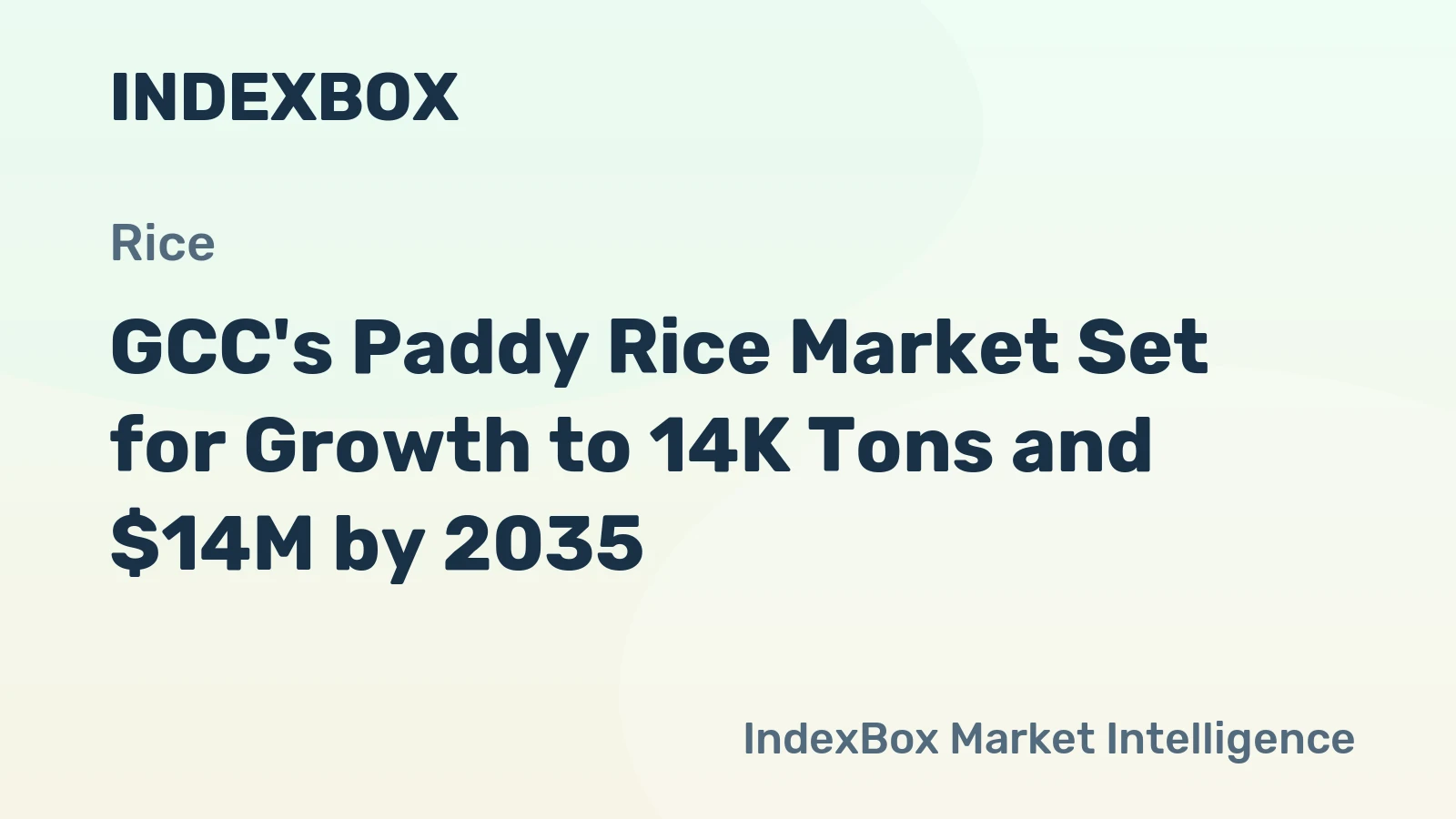 GCC's Paddy Rice Market Set for Growth to 14K Tons and $14M by 2035