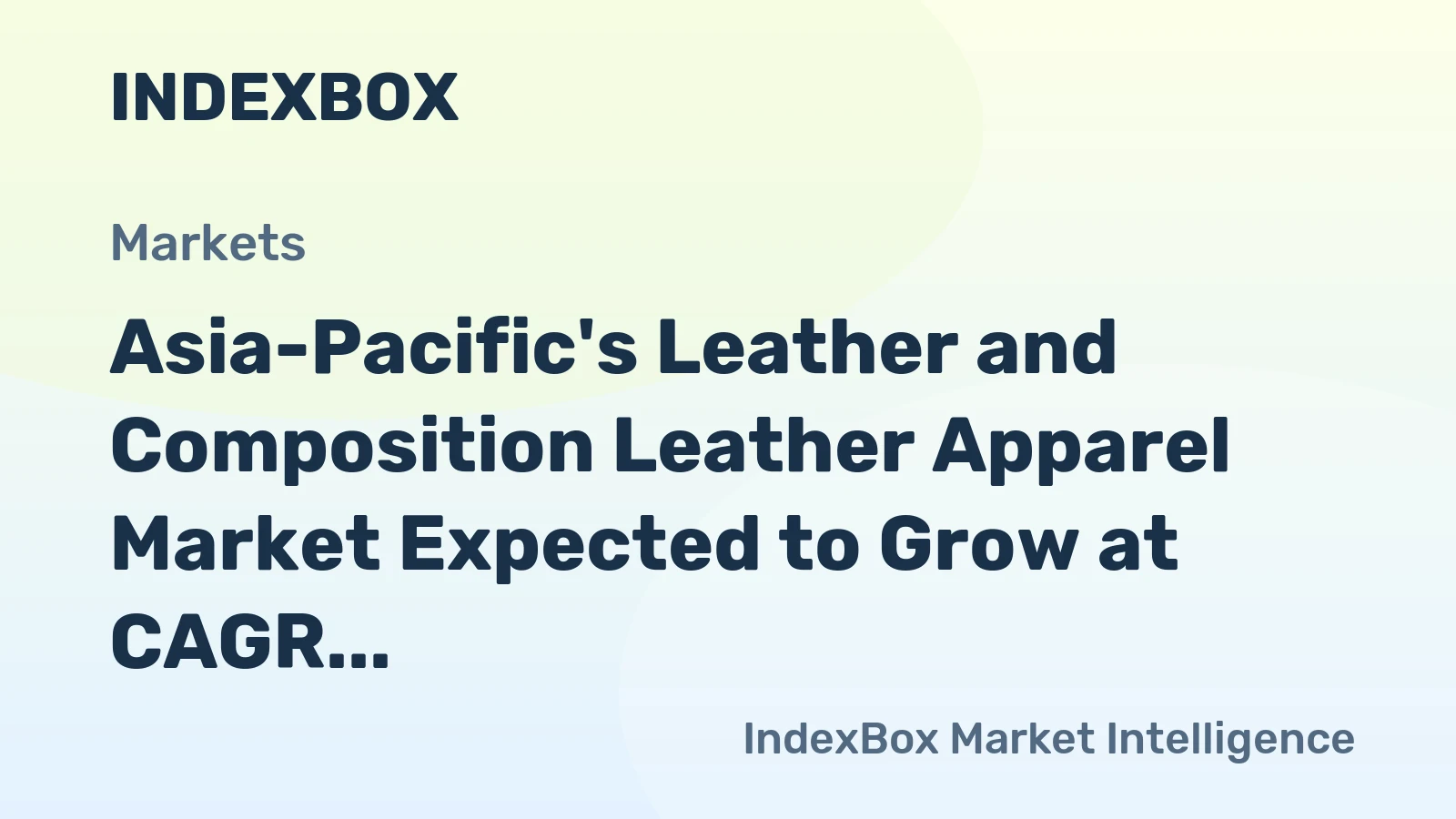 Asia-Pacific's Leather and Composition Leather Apparel Market Expected to Grow at CAGR of +2.7% Over Next Decade
