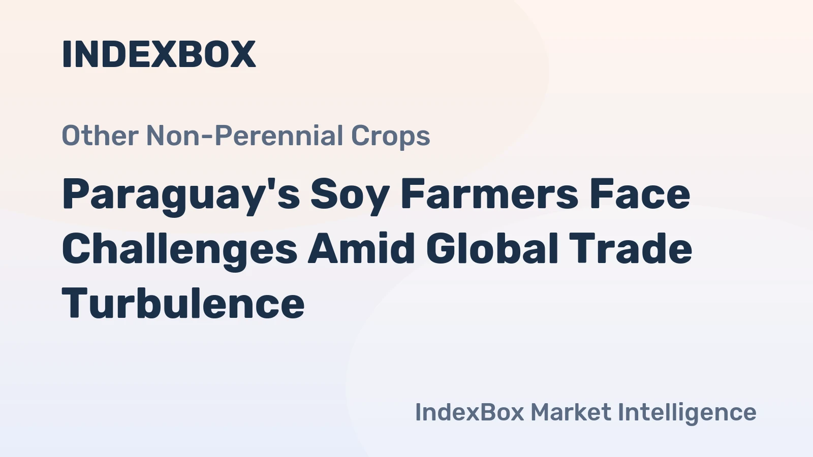 Paraguay's Soy Farmers Face Challenges Amid Global Trade Turbulence