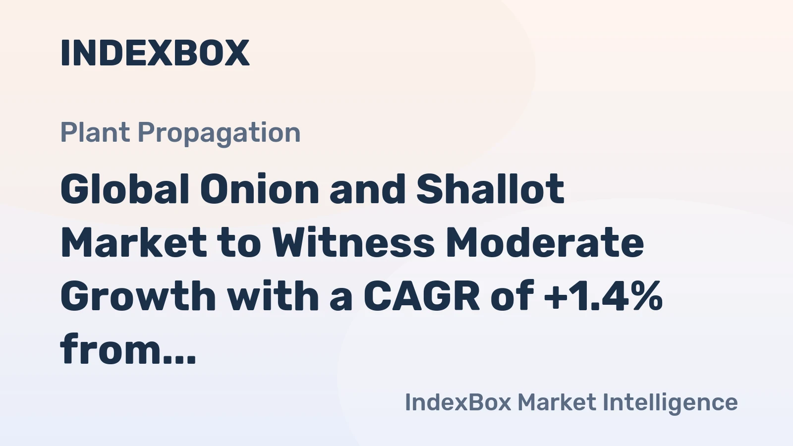 Global Onion and Shallot Market to Witness Moderate Growth with a CAGR of +1.4% from 2024 to 2035