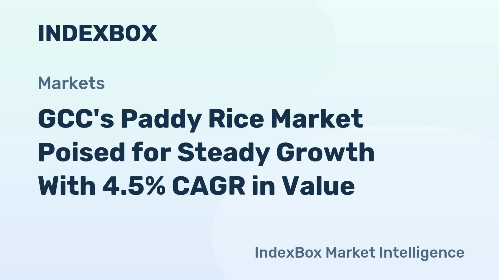 GCC's Paddy Rice Market Poised for Steady Growth With 4.5% CAGR in Value