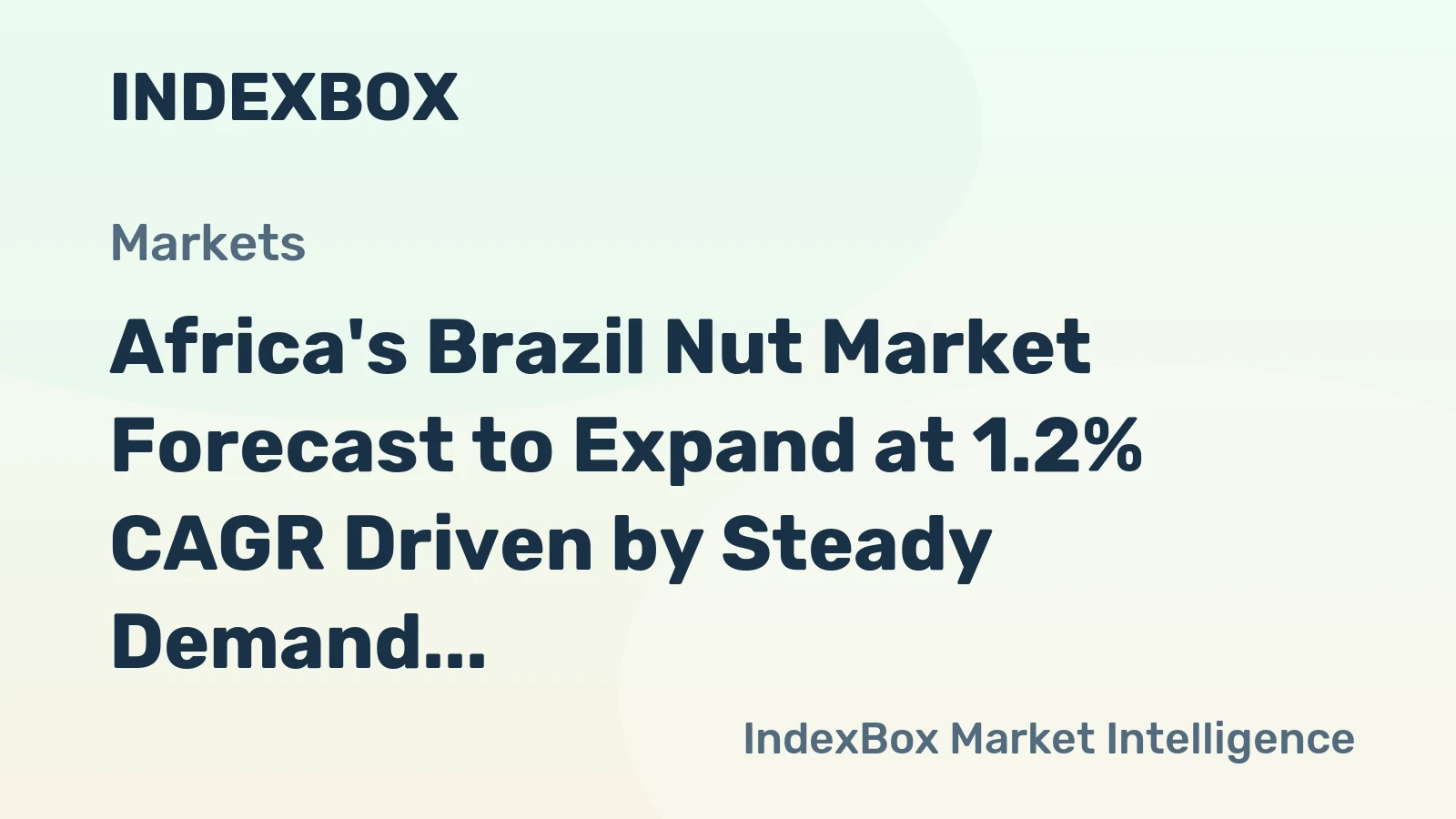 Africa's Brazil Nut Market Forecast to Expand at 1.2% CAGR Driven by Steady Demand