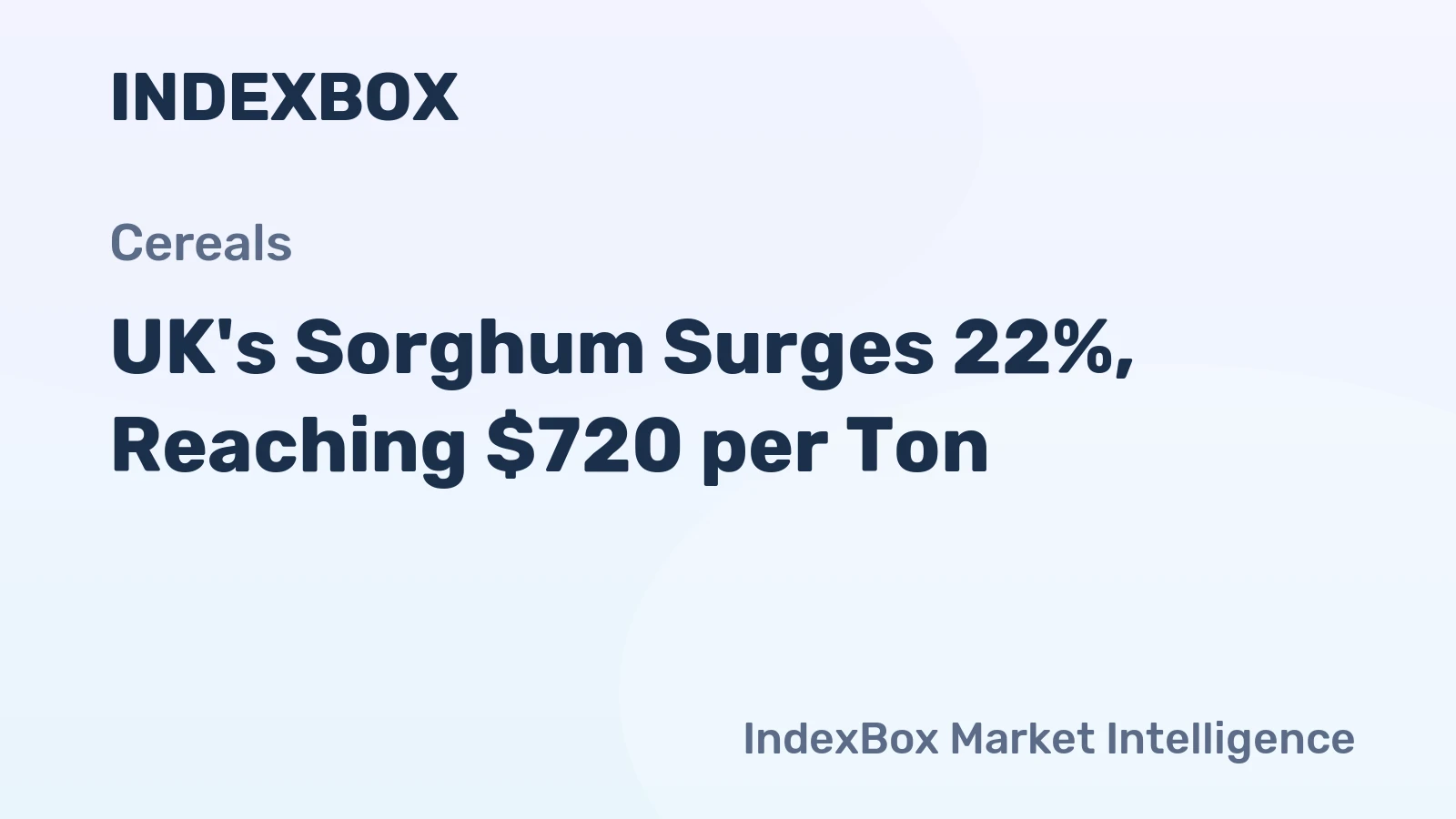 UK's Sorghum Surges 22%, Reaching $720 per Ton