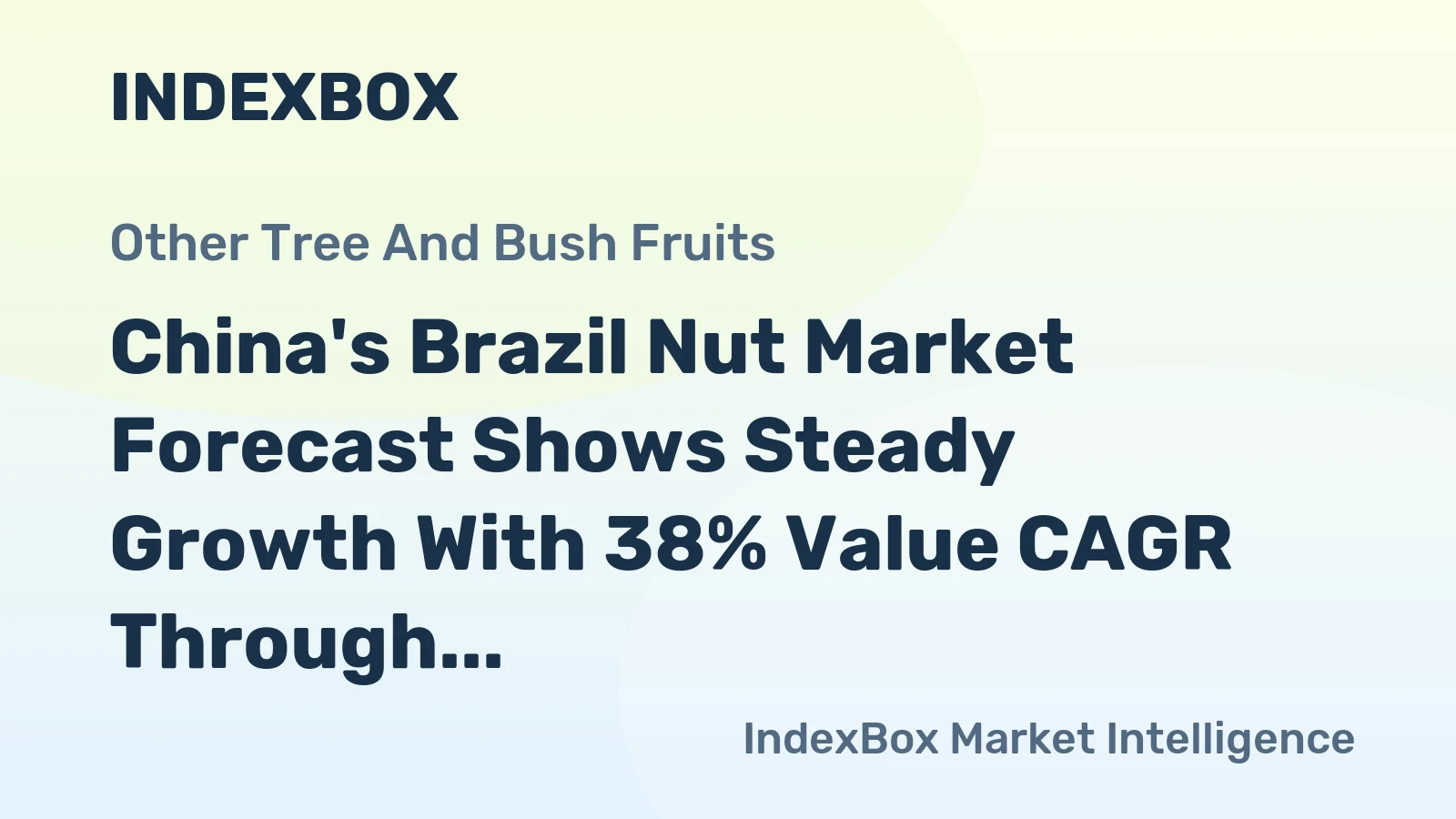 China's Brazil Nut Market Forecast Shows Steady Growth With 38% Value CAGR Through 2035