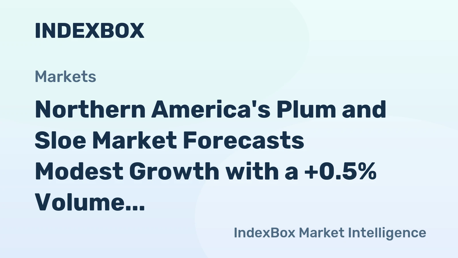 Northern America's Plum and Sloe Market Forecasts Modest Growth with a +0.5% Volume CAGR