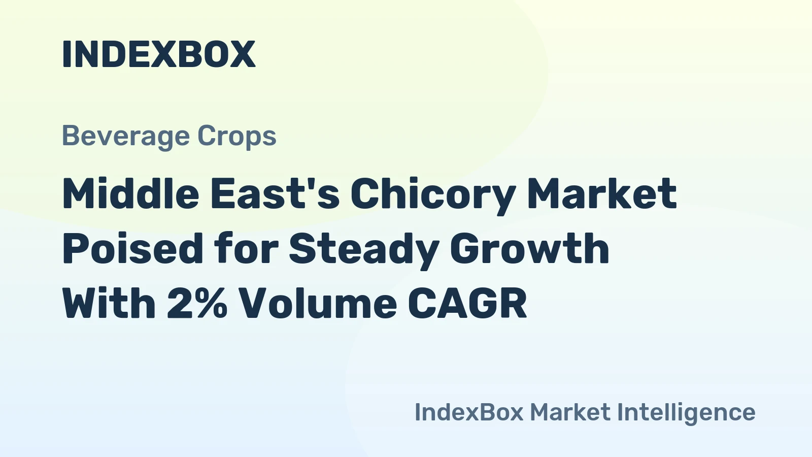 Middle East's Chicory Market Poised for Steady Growth With 2% Volume CAGR