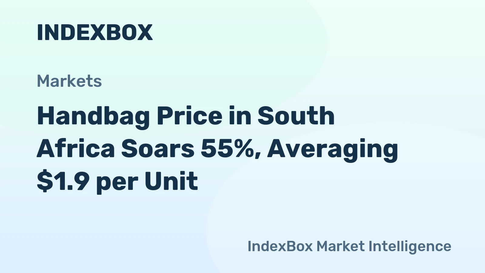 Handbag Price in South Africa Soars 55%, Averaging $1.9 per Unit
