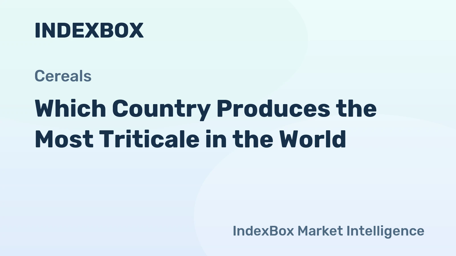 Which Country Produces the Most Triticale in the World?