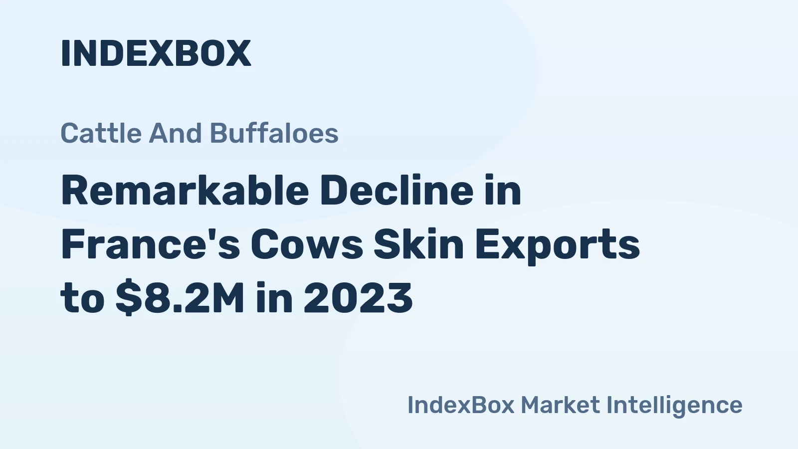 Remarkable Decline in France's Cows Skin Exports to $8.2M in 2023