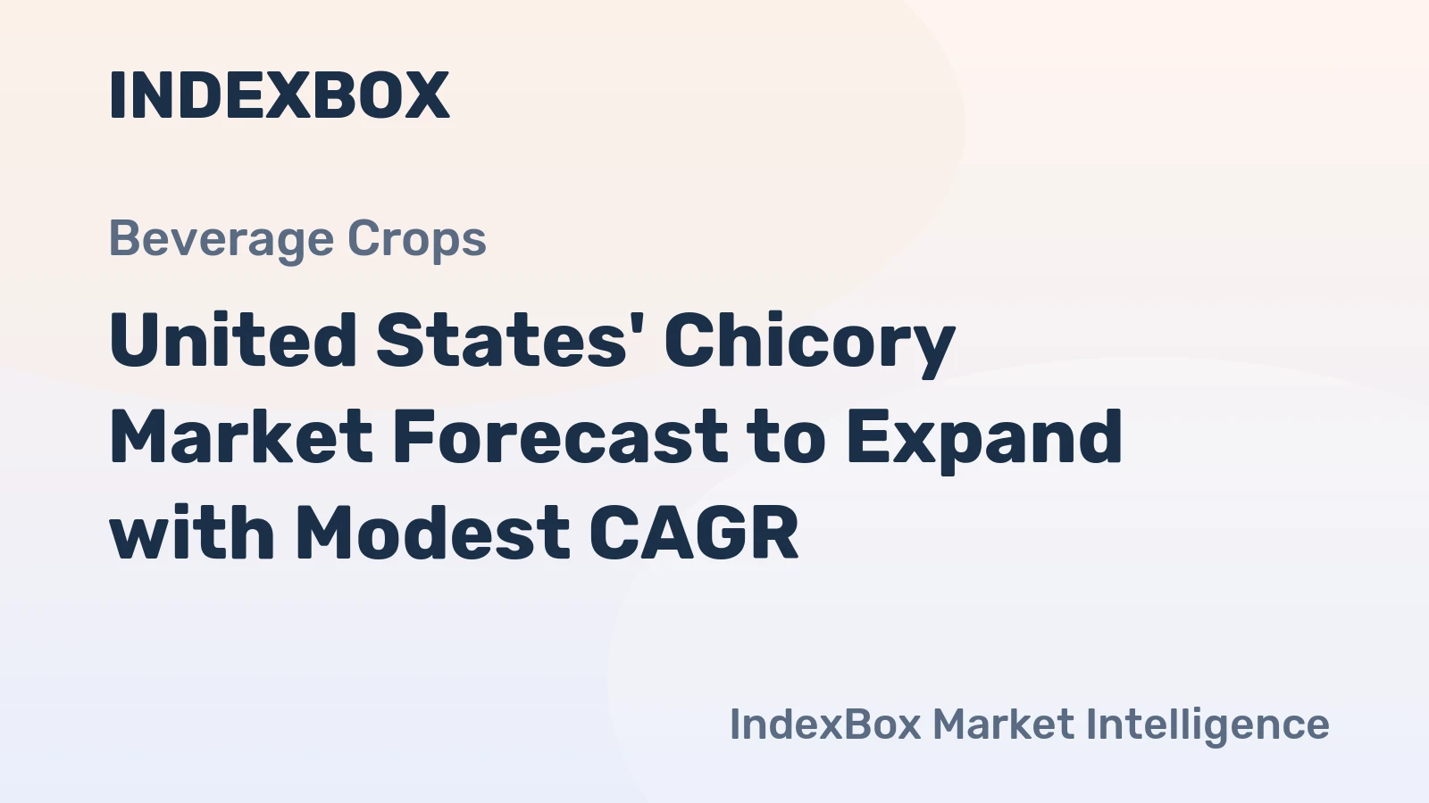 United States' Chicory Market Forecast to Expand with Modest CAGR