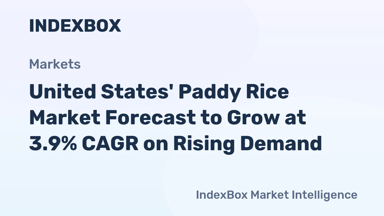 United States' Paddy Rice Market Forecast to Grow at 3.9% CAGR on Rising Demand