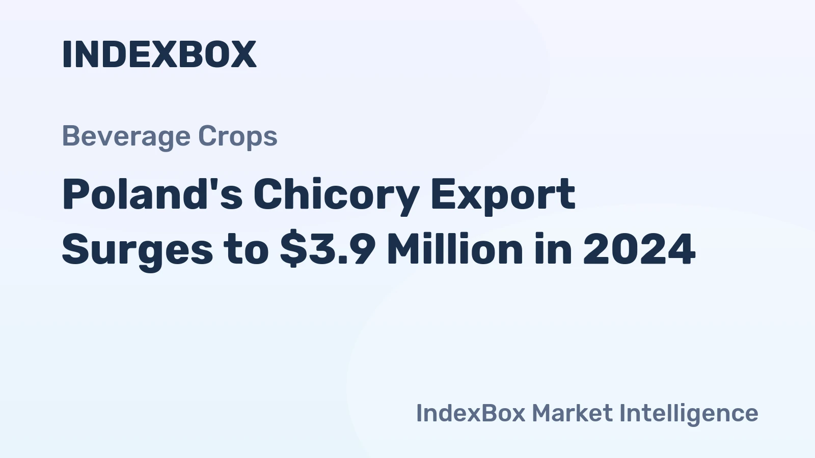 Poland's Chicory Export Surges to $3.9 Million in 2024