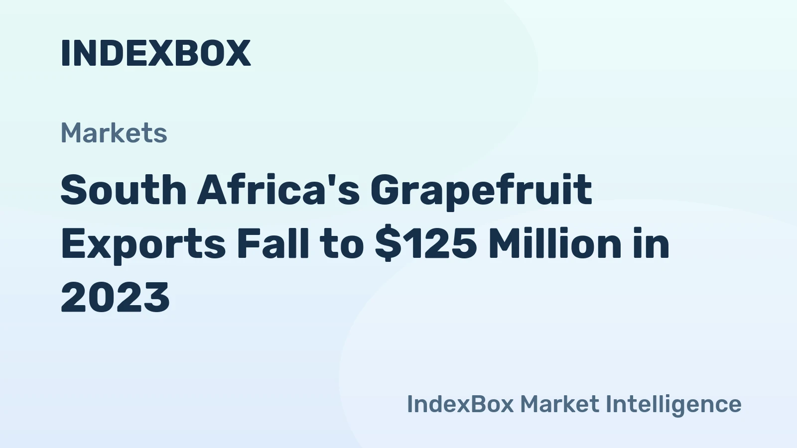 South Africa's Grapefruit Exports Fall to $125 Million in 2023