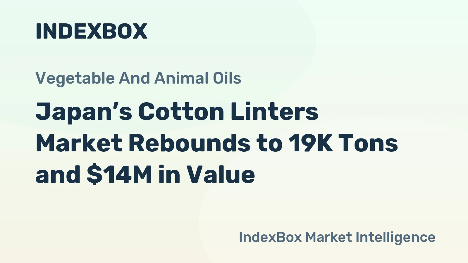 Japan’s Cotton Linters Market Rebounds to 19K Tons and $14M in Value