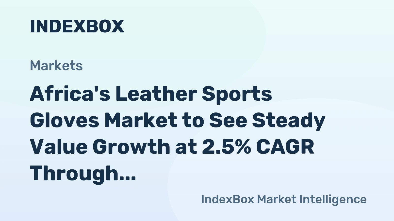 Africa's Leather Sports Gloves Market to See Steady Value Growth at 2.5% CAGR Through 2035