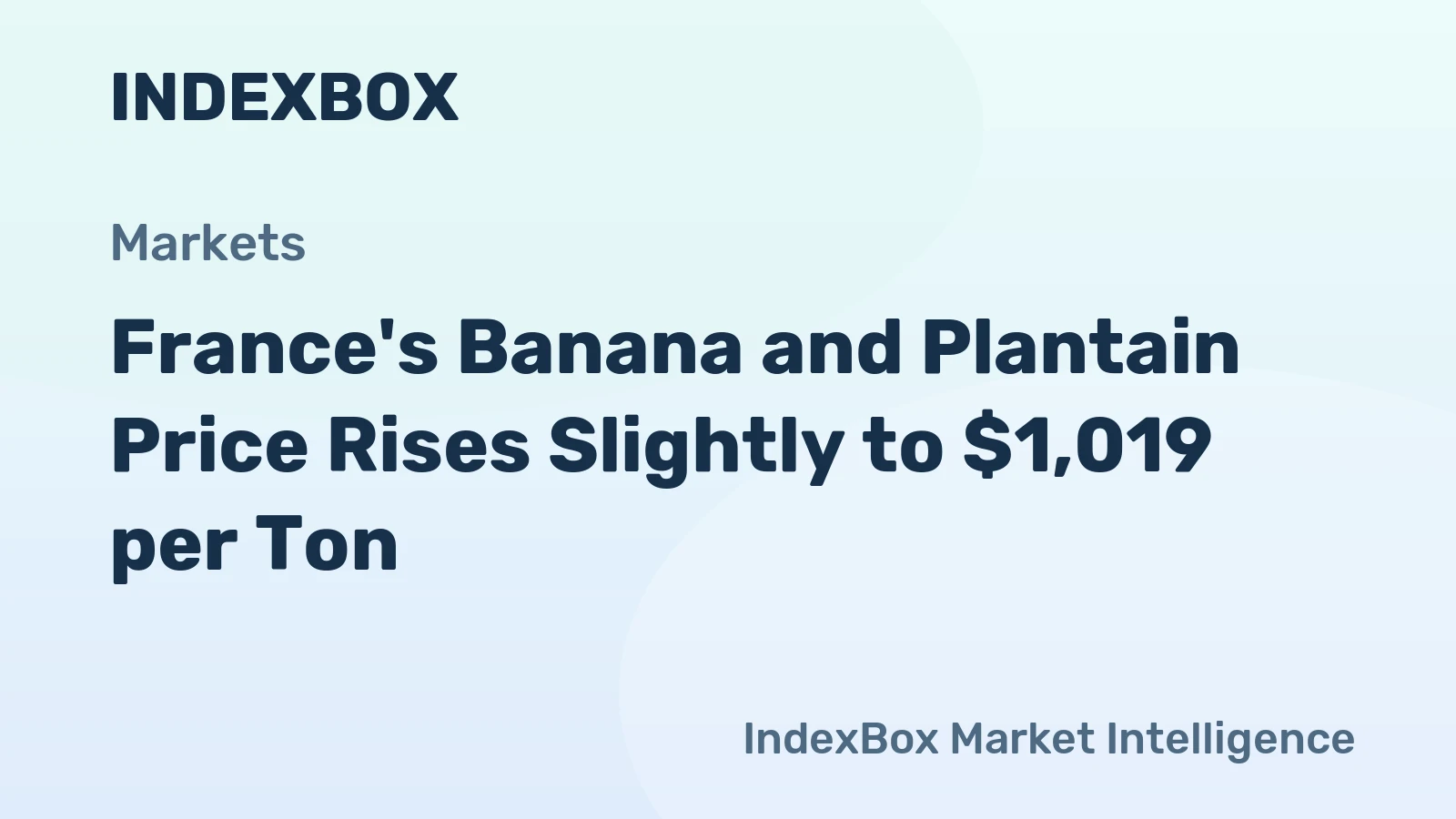 France's Banana and Plantain Price Rises Slightly to $1,019 per Ton