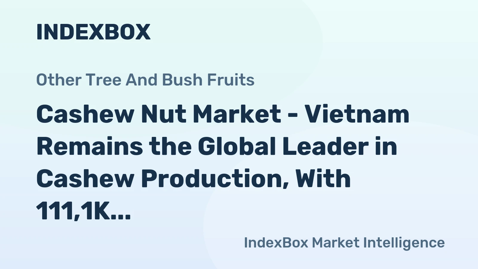 Cashew Nut Market - Vietnam Remains the Global Leader in Cashew Production, With 111,1K Tons in 2013