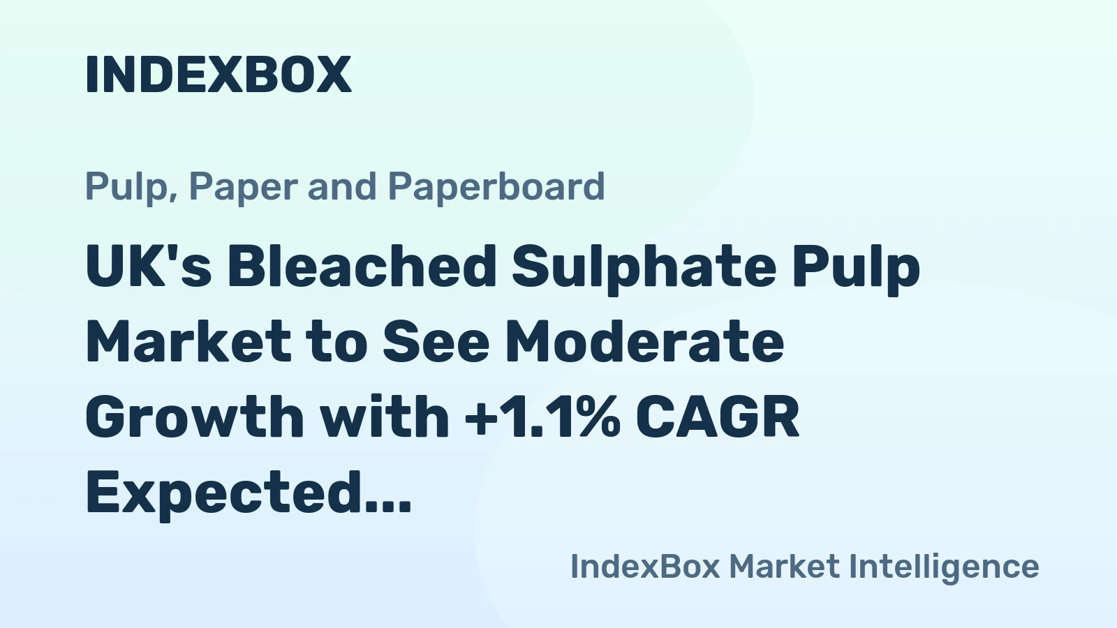 UK's Bleached Sulphate Pulp Market to See Moderate Growth with +1.1% CAGR Expected