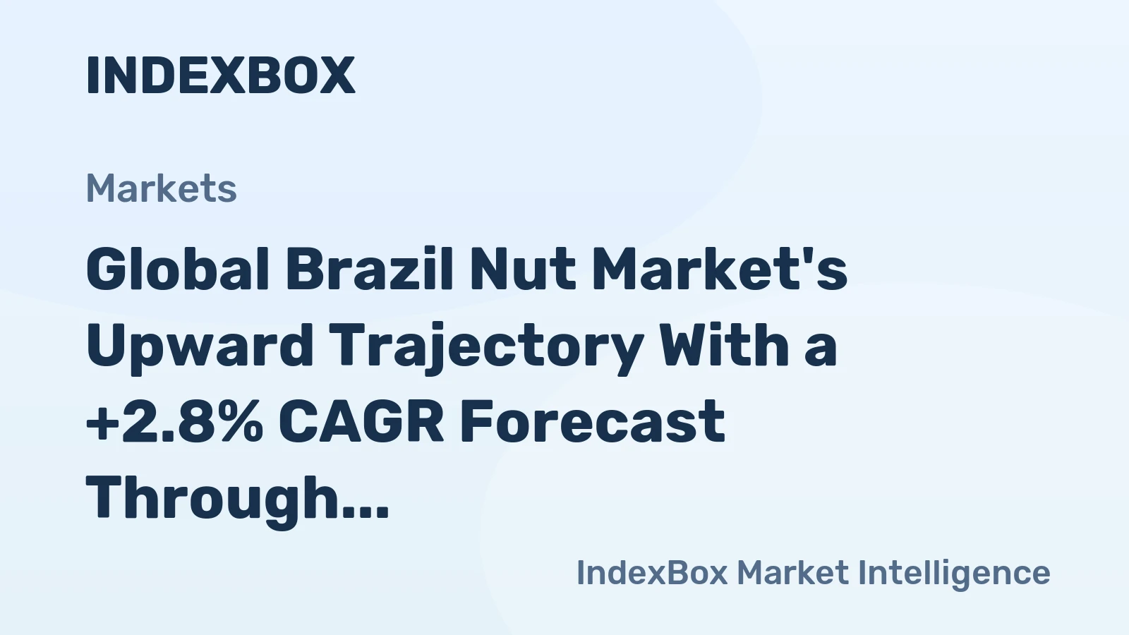 Global Brazil Nut Market's Upward Trajectory With a +2.8% CAGR Forecast Through 2035
