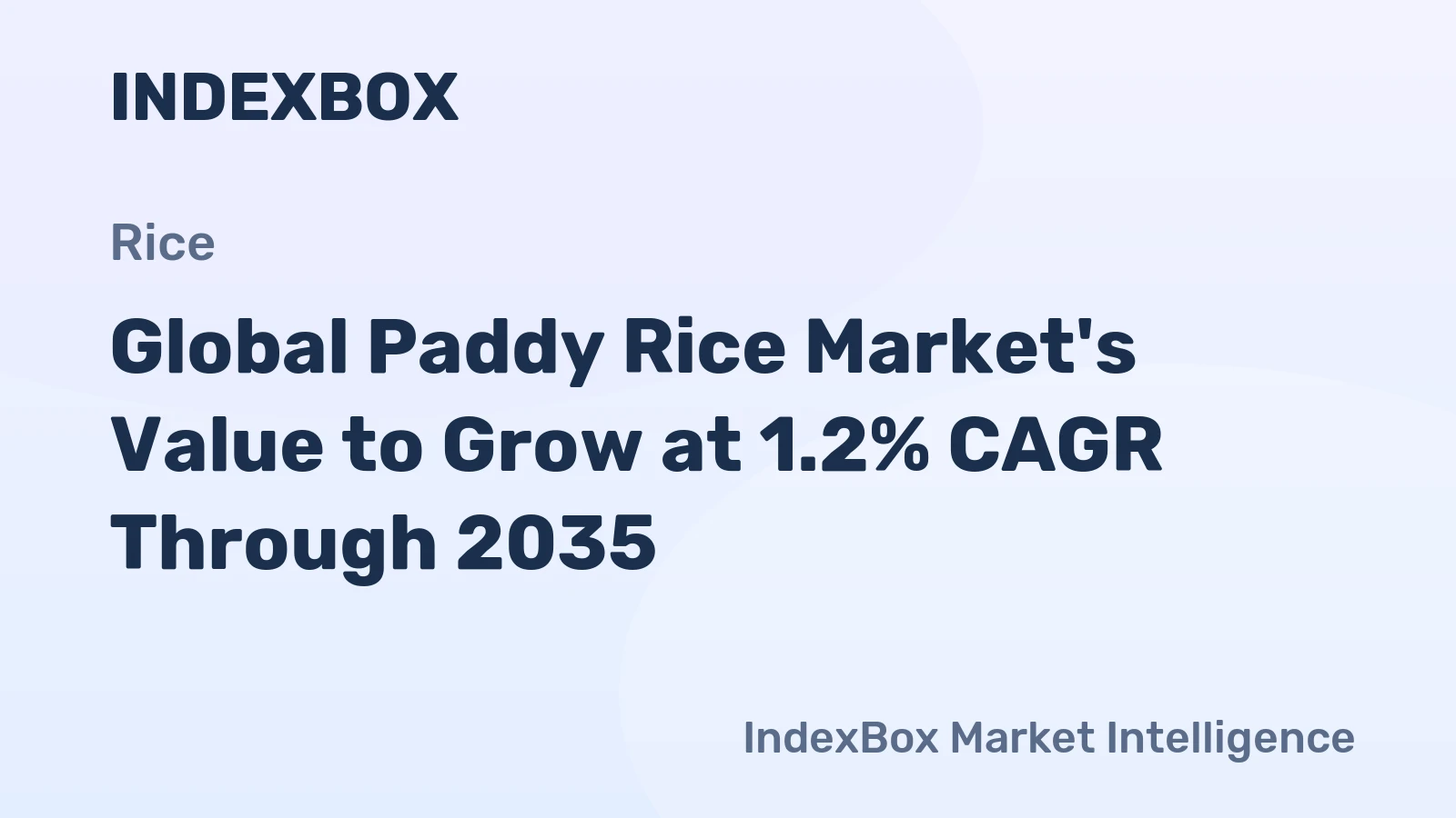 Global Paddy Rice Market's Value to Grow at 1.2% CAGR Through 2035