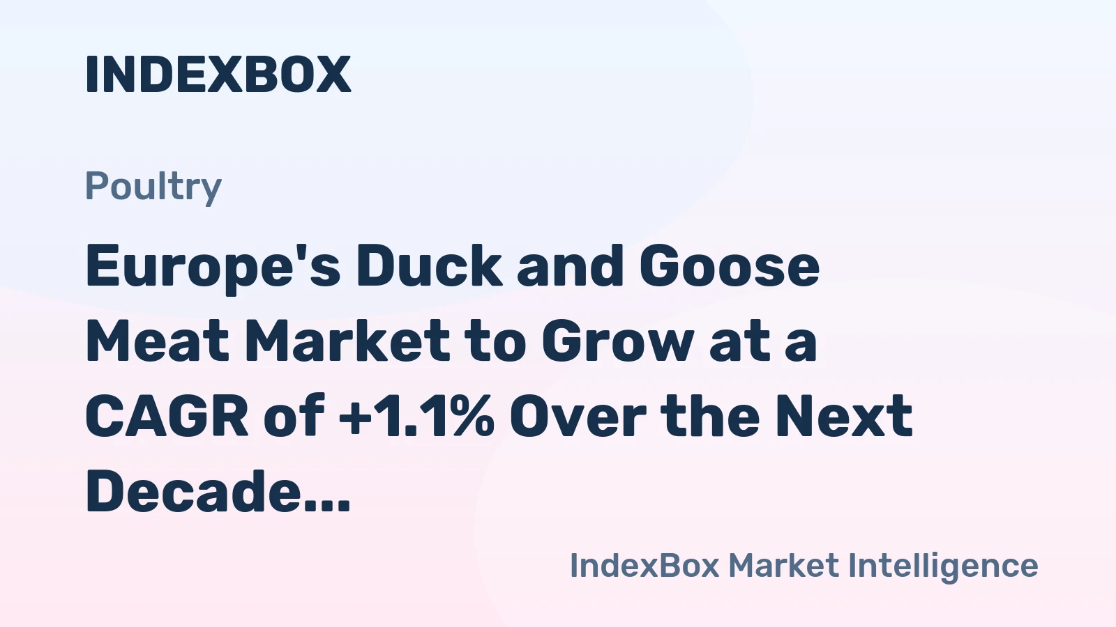 Europe's Duck and Goose Meat Market to Grow at a CAGR of +1.1% Over the Next Decade