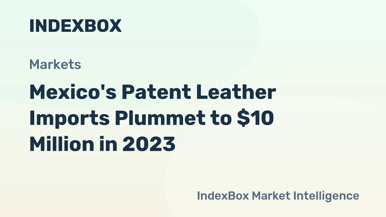 Mexico's Patent Leather Imports Plummet to $10 Million in 2023
