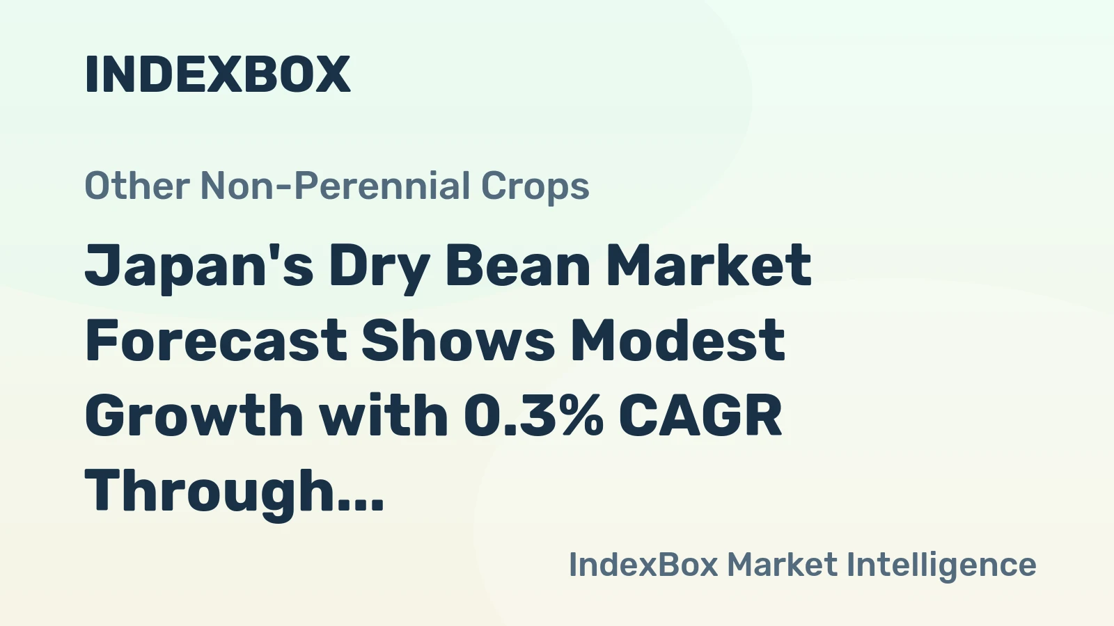 Japan's Dry Bean Market Forecast Shows Modest Growth with 0.3% CAGR Through 2035