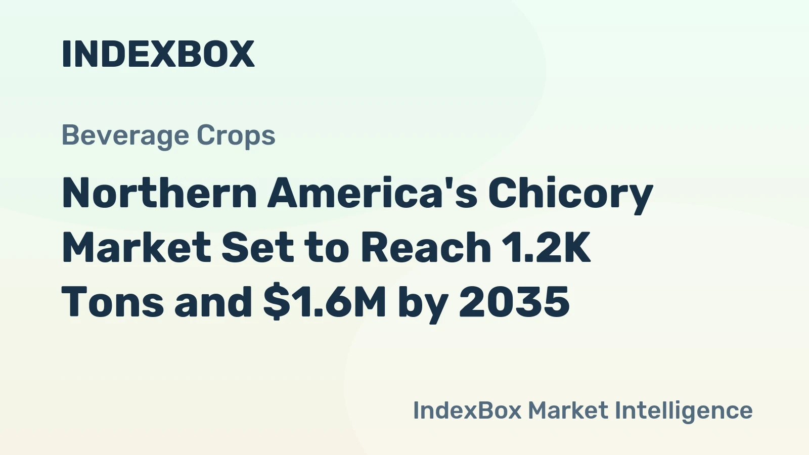 Northern America's Chicory Market Set to Reach 1.2K Tons and $1.6M by 2035