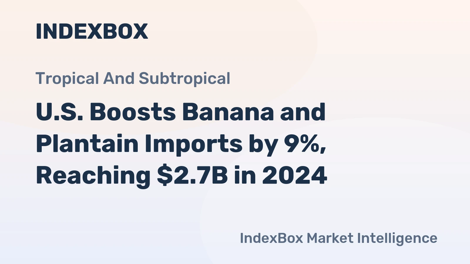 U.S. Boosts Banana and Plantain Imports by 9%, Reaching $2.7B in 2024
