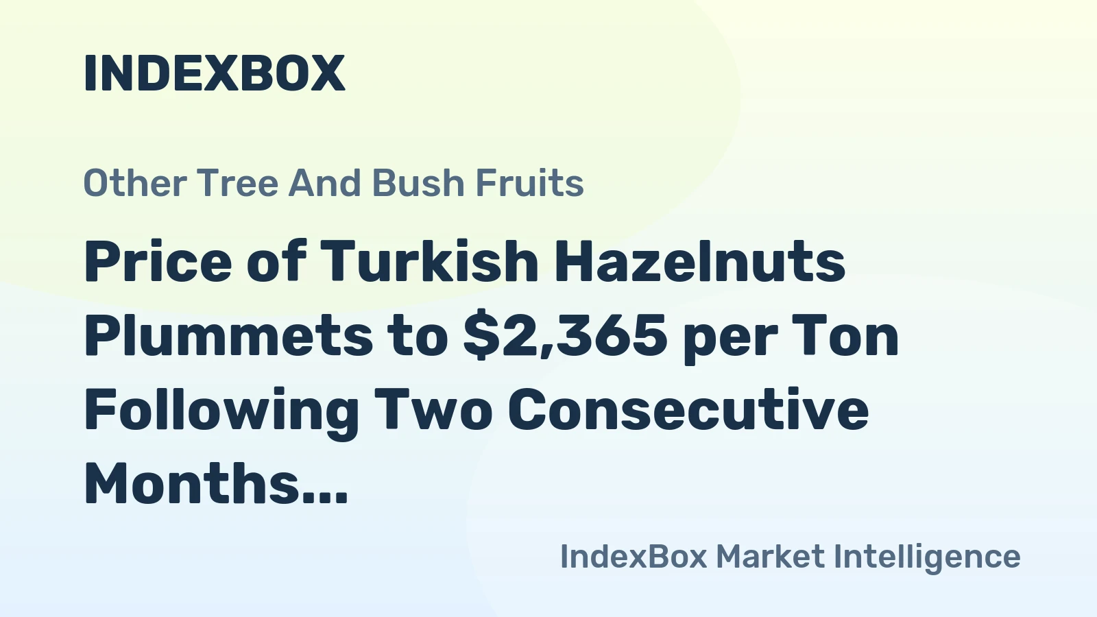 Price of Turkish Hazelnuts Plummets to $2,365 per Ton Following Two Consecutive Months of Decline