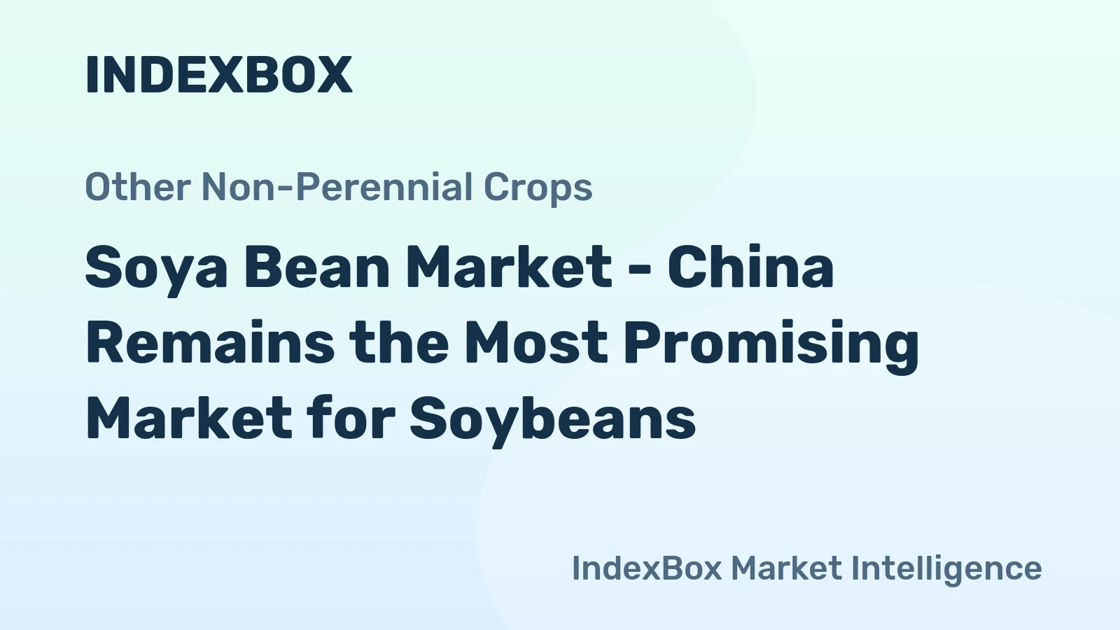 Soya Bean Market - China Remains the Most Promising Market for Soybeans