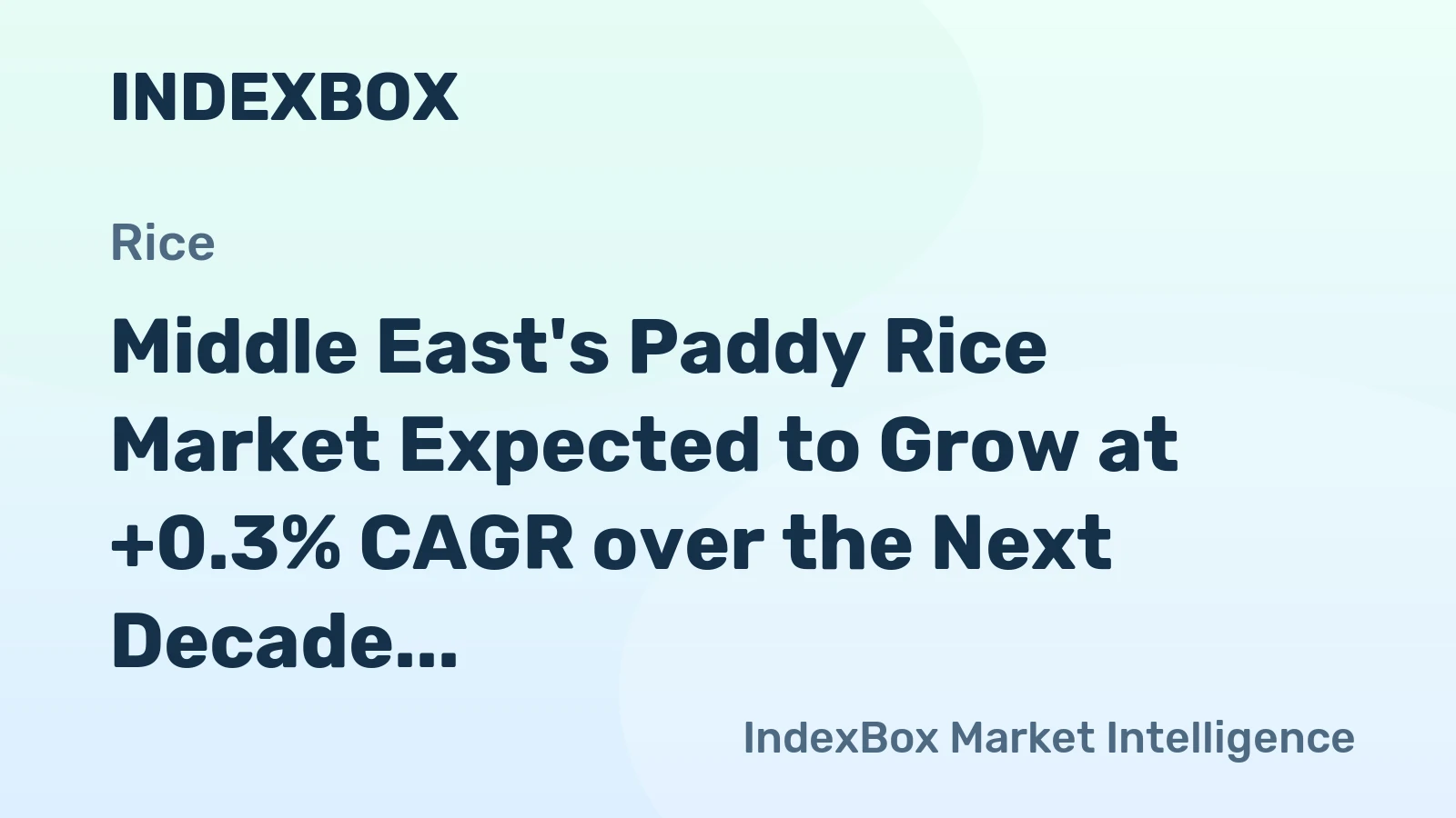 Middle East's Paddy Rice Market Expected to Grow at +0.3% CAGR over the Next Decade