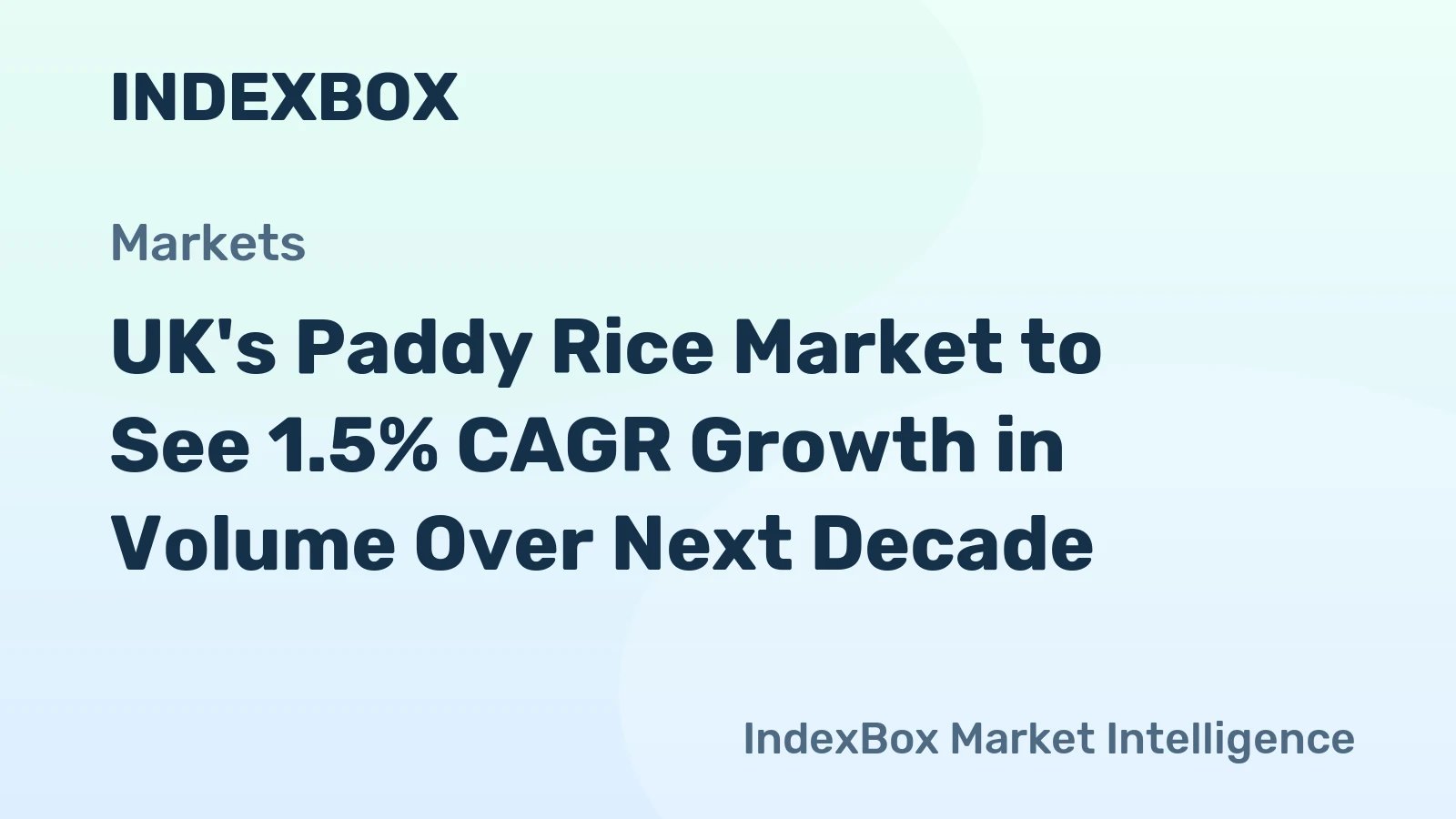 UK's Paddy Rice Market to See 1.5% CAGR Growth in Volume Over Next Decade