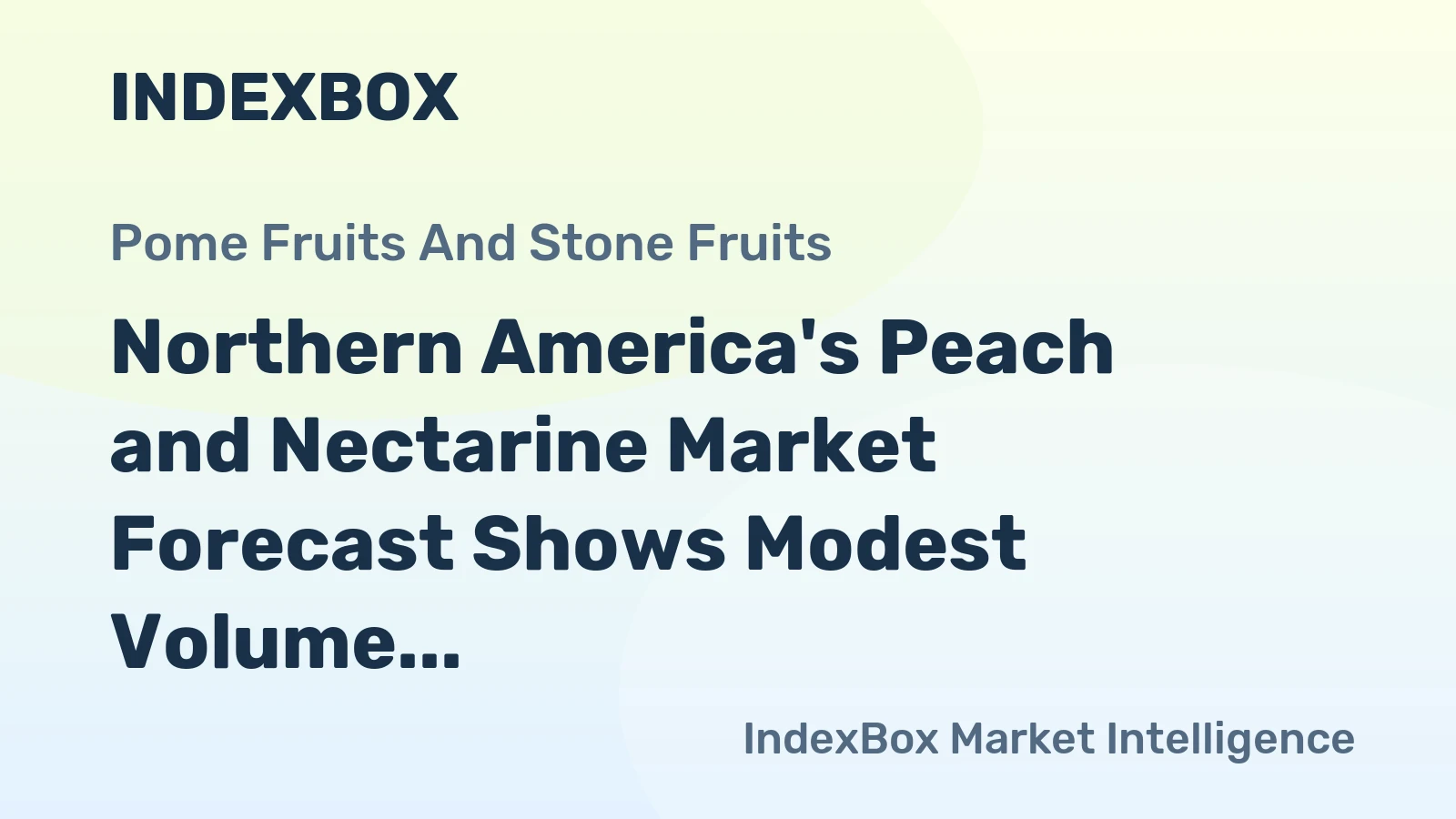 Northern America's Peach and Nectarine Market Forecast Shows Modest Volume Growth at 0.3% CAGR Through 2035