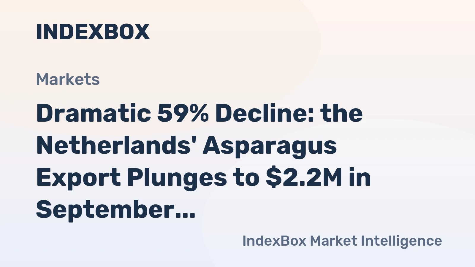 Dramatic 59% Decline: the Netherlands' Asparagus Export Plunges to $2.2M in September 2023