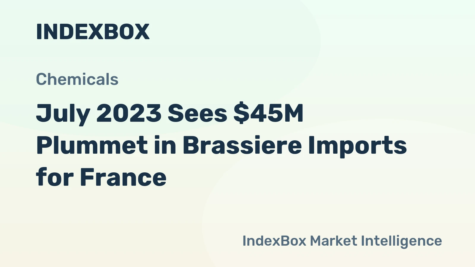July 2023 Sees $45M Plummet in Brassiere Imports for France