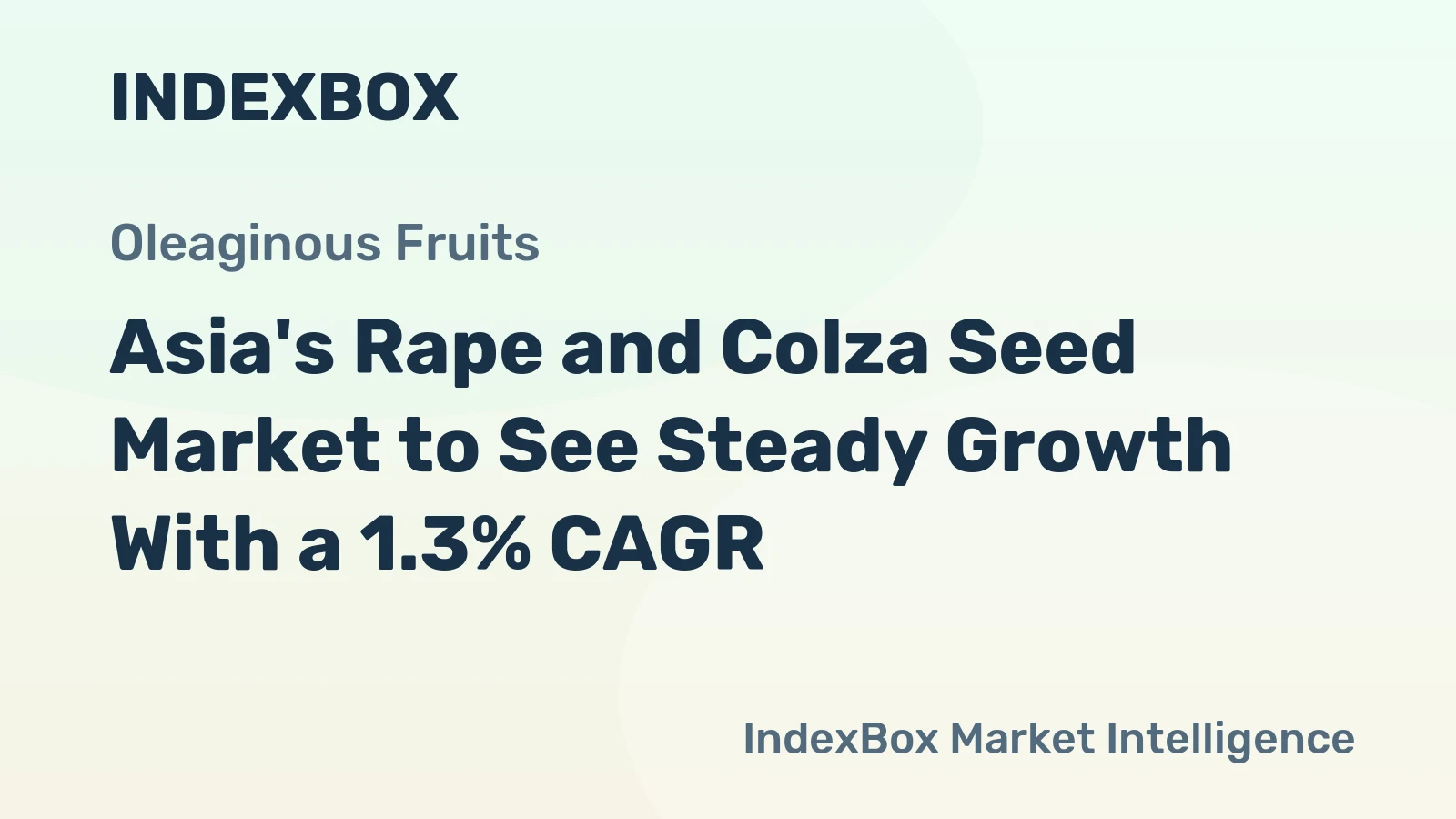 Asia's Rape and Colza Seed Market to See Steady Growth With a 1.3% CAGR