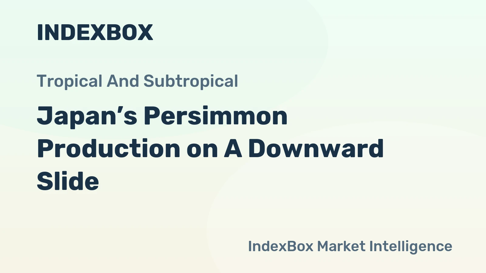 Japan’s Persimmon Production on A Downward Slide