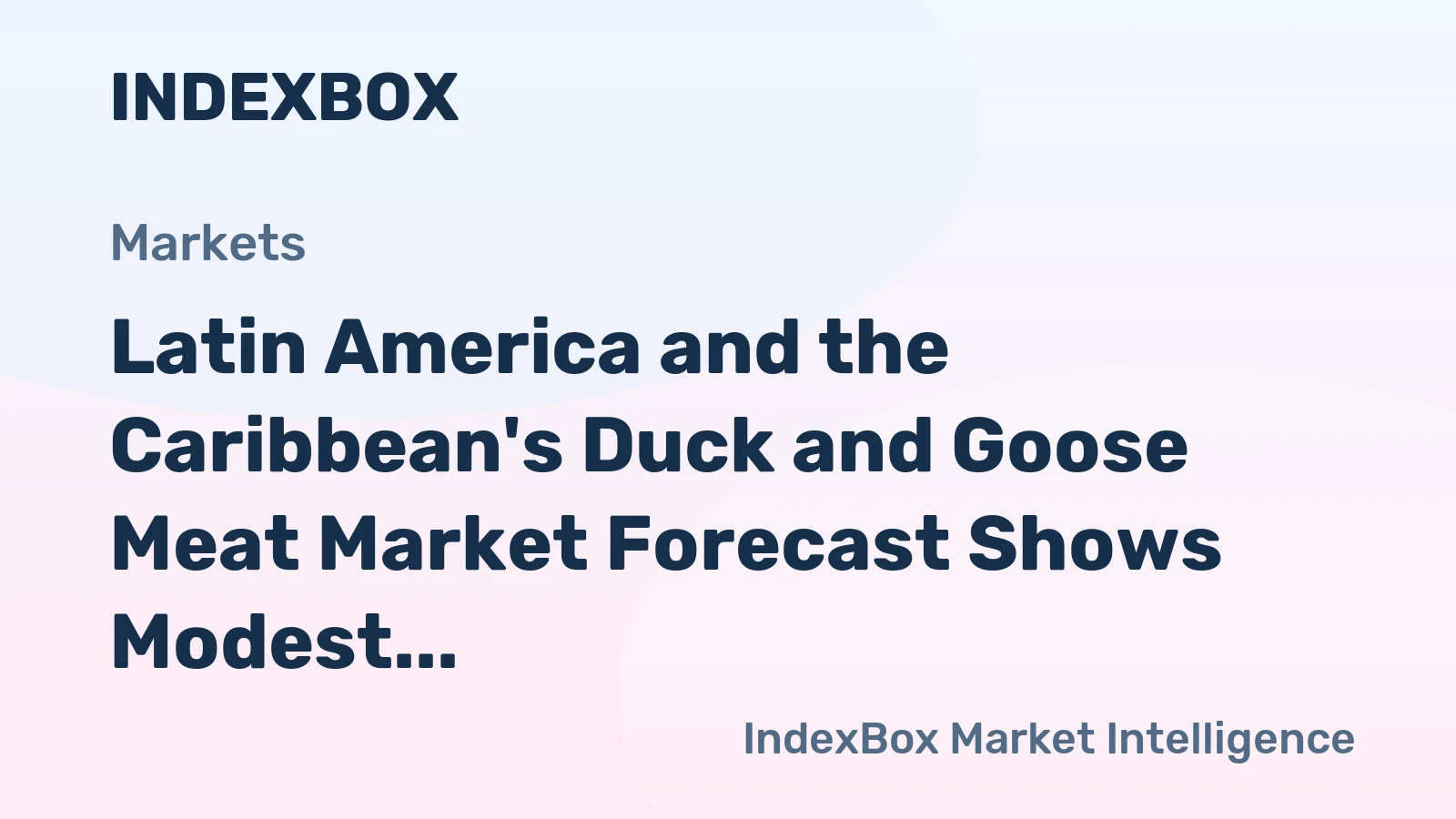 Latin America and the Caribbean's Duck and Goose Meat Market Forecast Shows Modest Growth With a 2.3% CAGR in Value